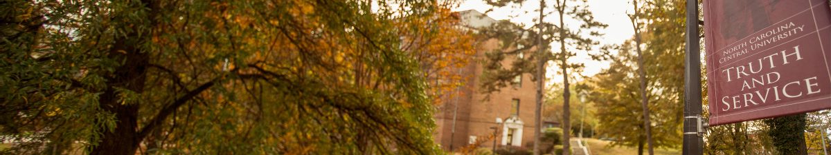 Why NCCU Online - NCCU Online